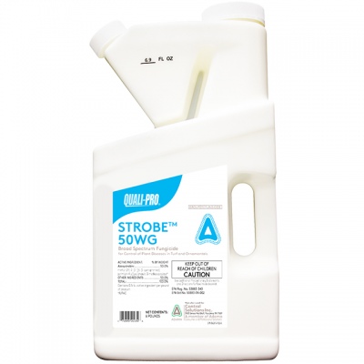 Centaur Asia Pacific | Adama Quali-Pro Strobe 50WG (Fungicide)