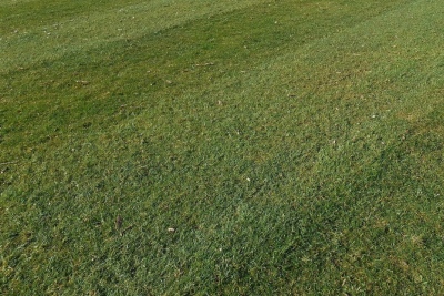 Centaur Asia Pacific | Campey – UniRake