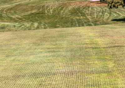 Centaur Asia Pacific | Redexim Verti-Cut 2000