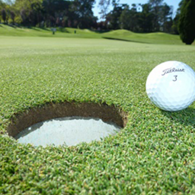 Centaur Asia Pacific | Barenbrug Bent Grass