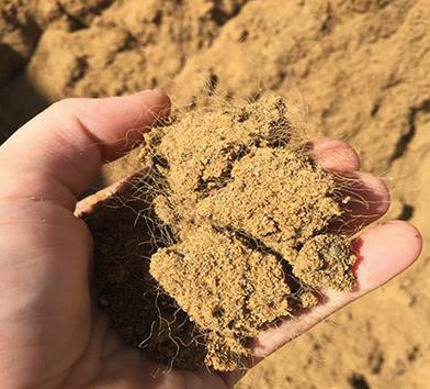 Centaur Asia Pacific | LOKSAND Root Zone System